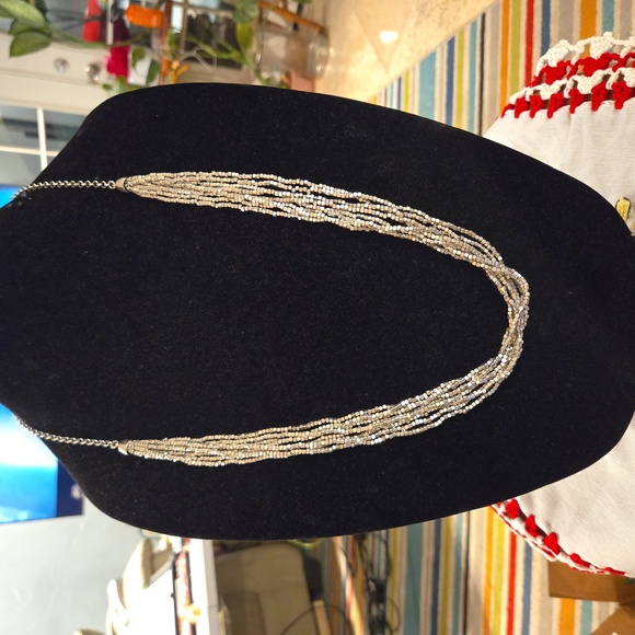 Lucky Brand | Jewelry | Lucky Brand Silver Seed Bead Necklace | Poshmark